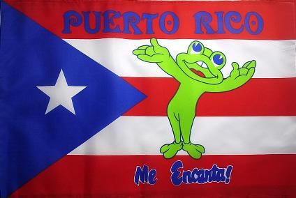 Puerto Rico FROG Flag 3×5 foot – VonAcht.com